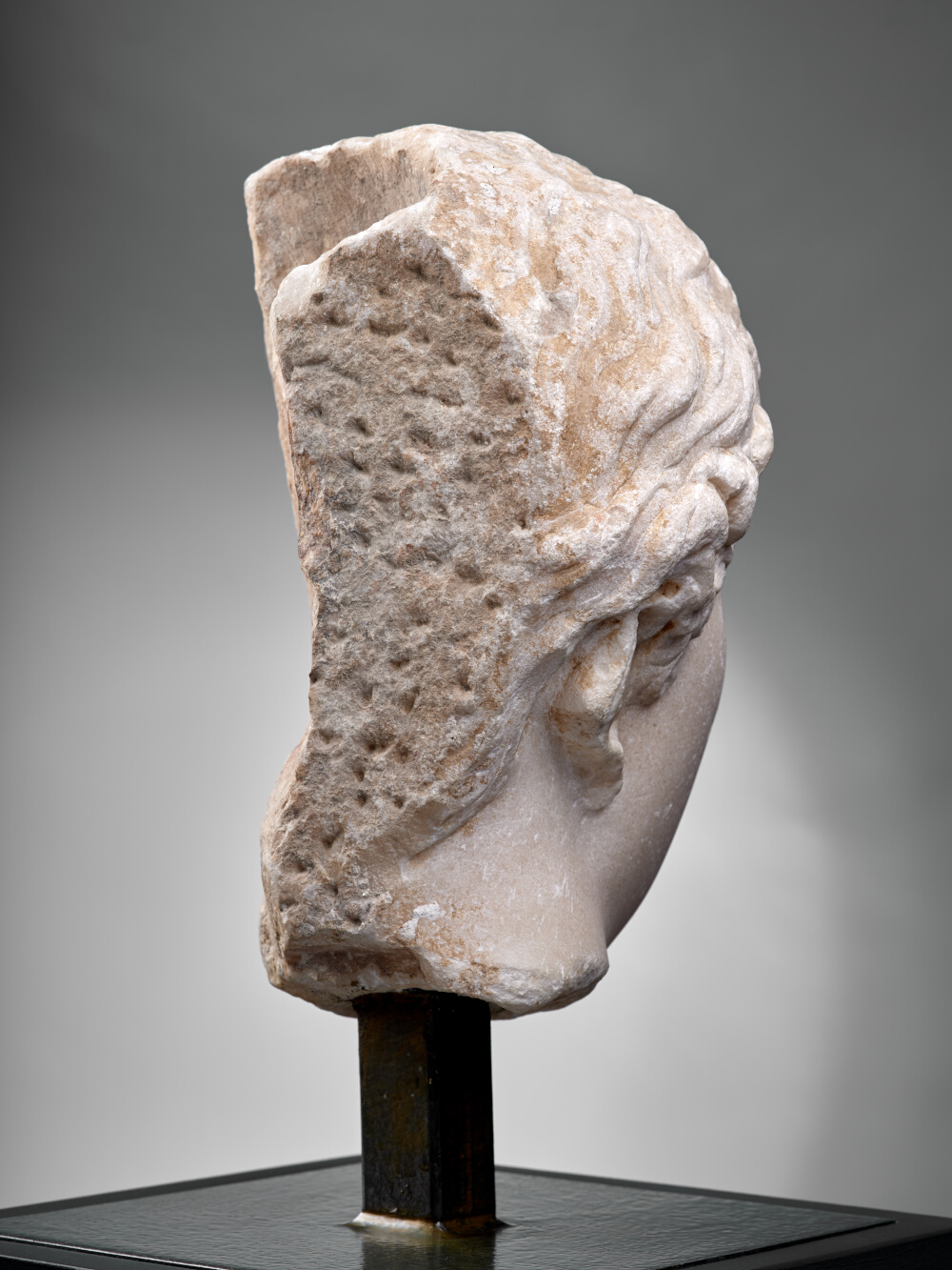 Head of Antonia Minor – The Chiragan Villa