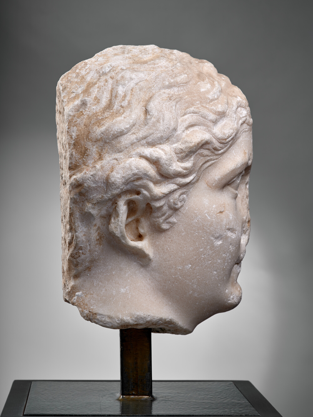 Head of Antonia Minor – The Chiragan Villa