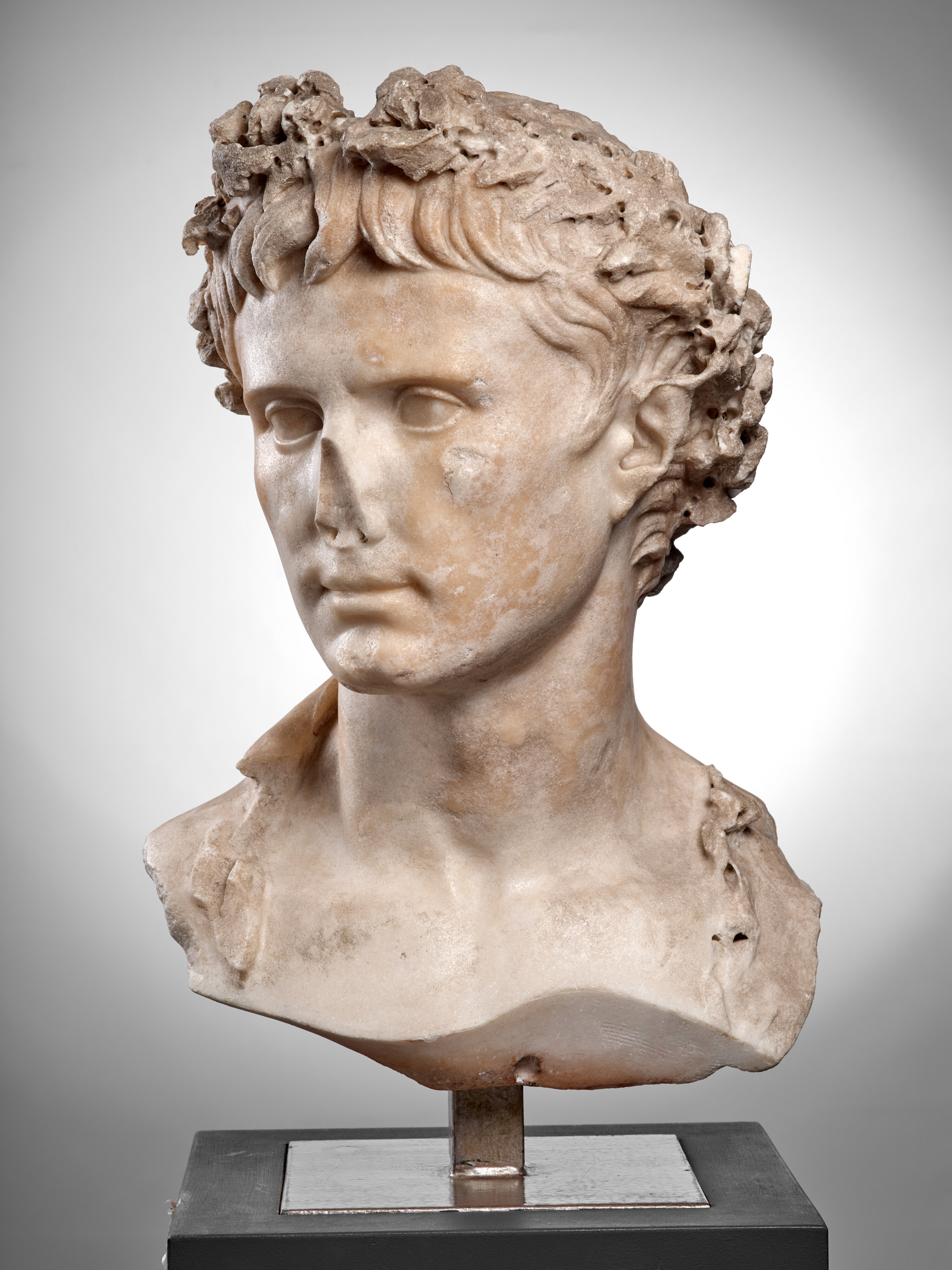 Julius Caesar Leaf Head
